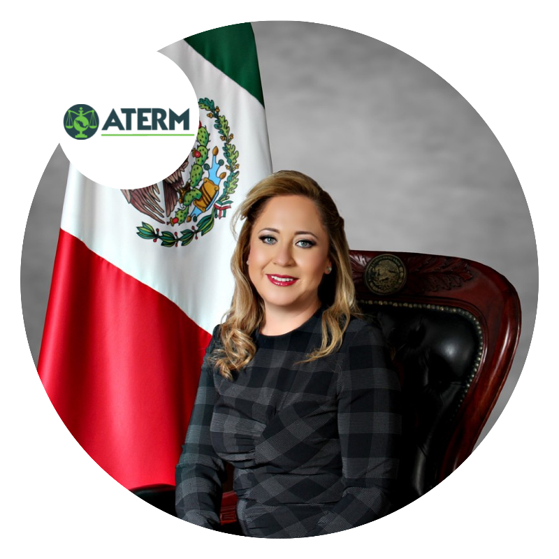 Norma Angélica Sandoval Sánchez - AMIJ | Asociación Mexicana de ...